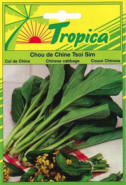 Chou de Chine Tsoi Sim - TROPICA - Mr Bricolage