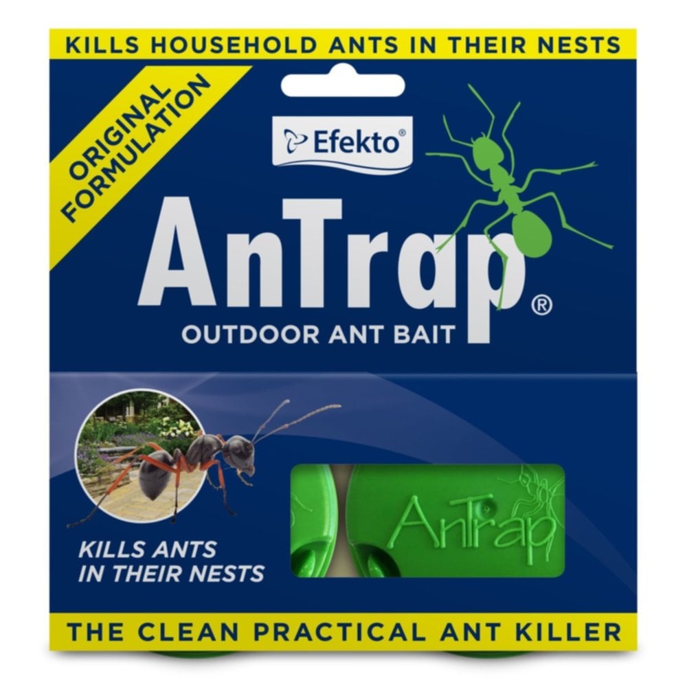 Set de 2 pièges à fourmis 50 g vert - ANTRAP - Mr Bricolage